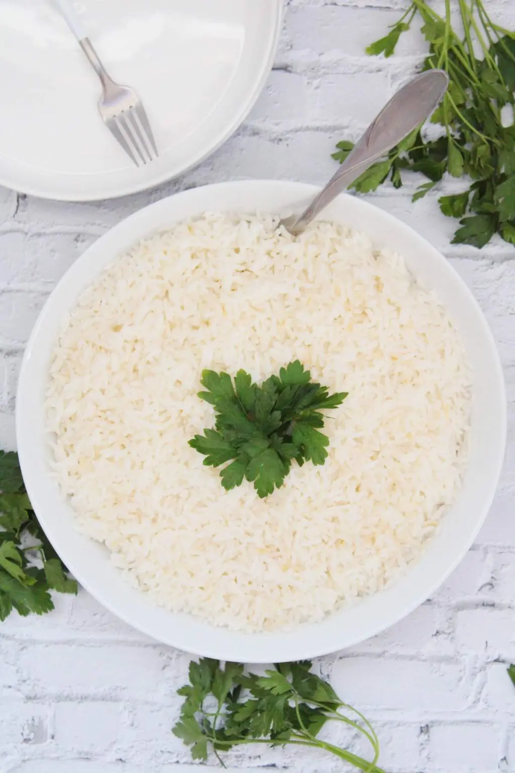 Brazilian Rice - The Six Figure Dish