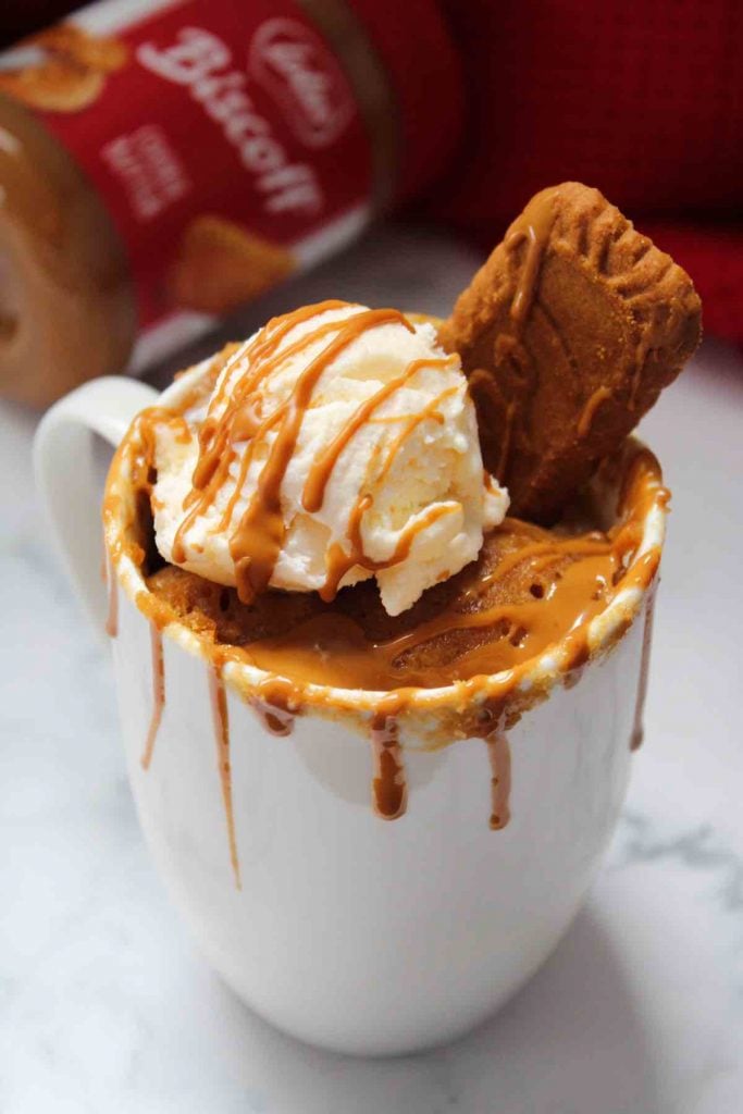 Biscoff Mug Cake - The Six Figure Dish